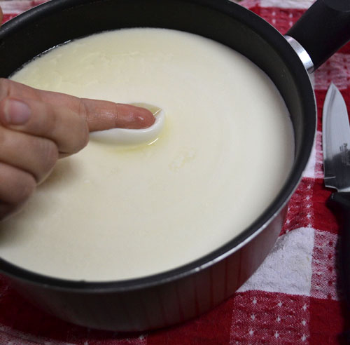 How to make mozzarella and armenian string cheese at home – Chef in ...