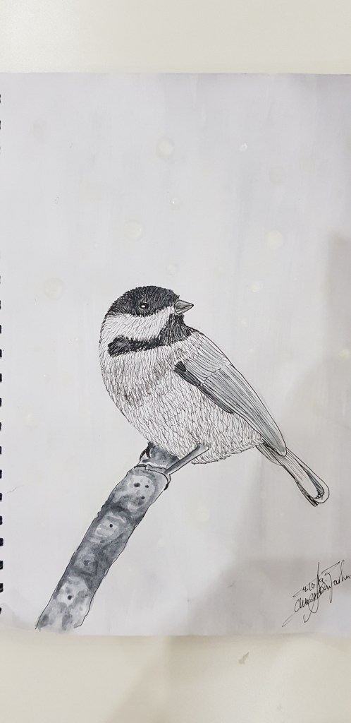 Qizha bars and a few month’s worth of pictures – Chef in disguise