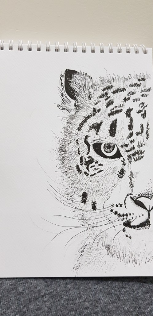 Qizha bars and a few month’s worth of pictures – Chef in disguise