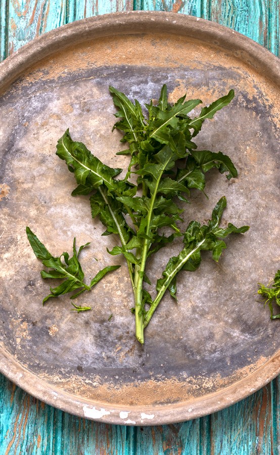 A Taste of Palestine: Traditional Hedge mustard greens recipe (Hwerneh ...